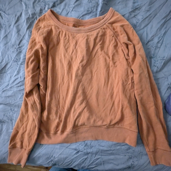 Everlane | Tops | Everlane Womens Sweatshirt In Rust Orange | Poshmark